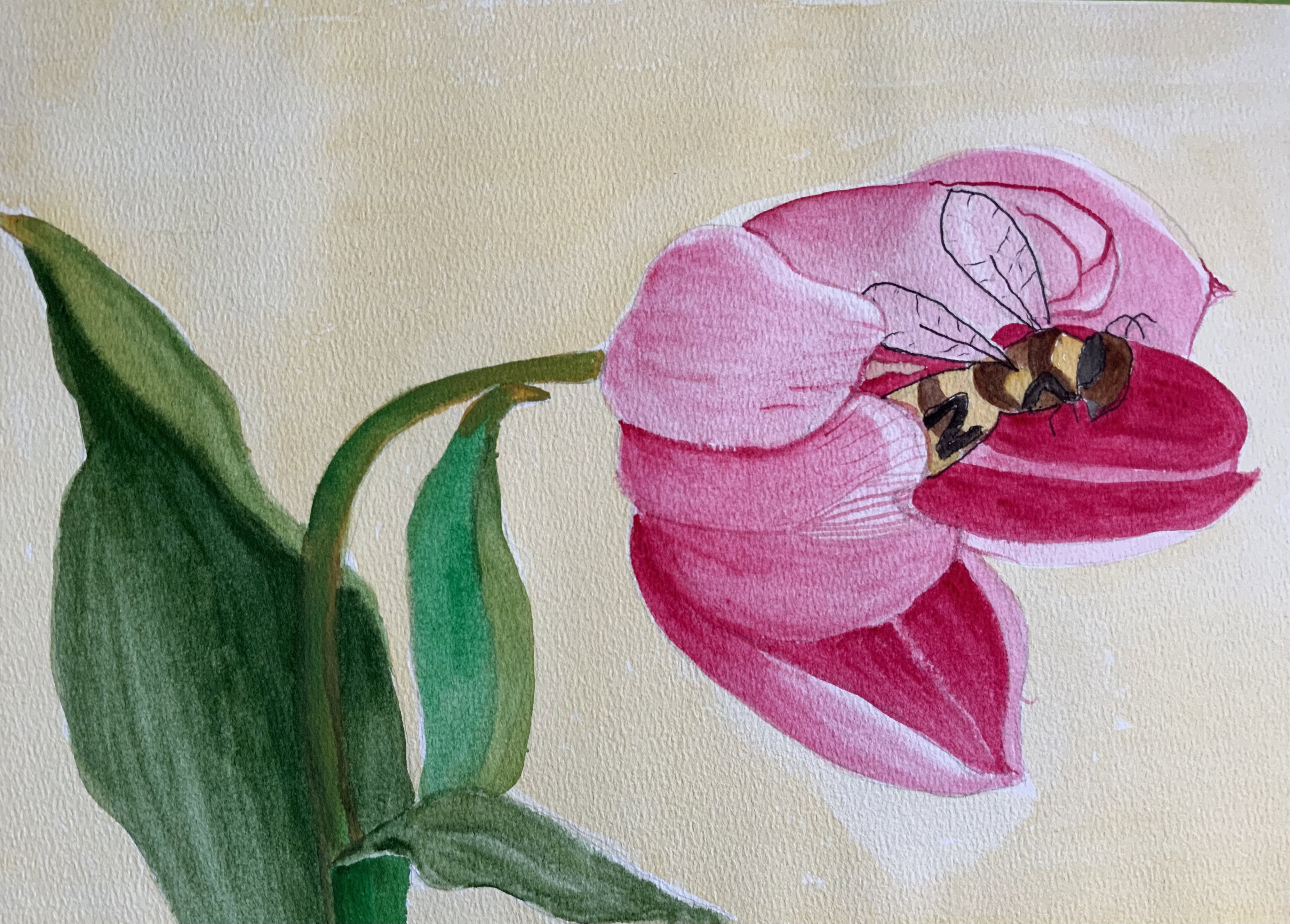 Art Sales Gallery - Artists in Canada